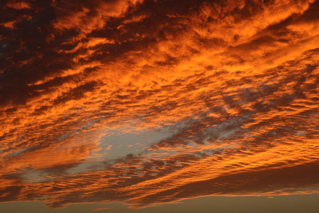 Texas Fall Sunset 3 - Etsy