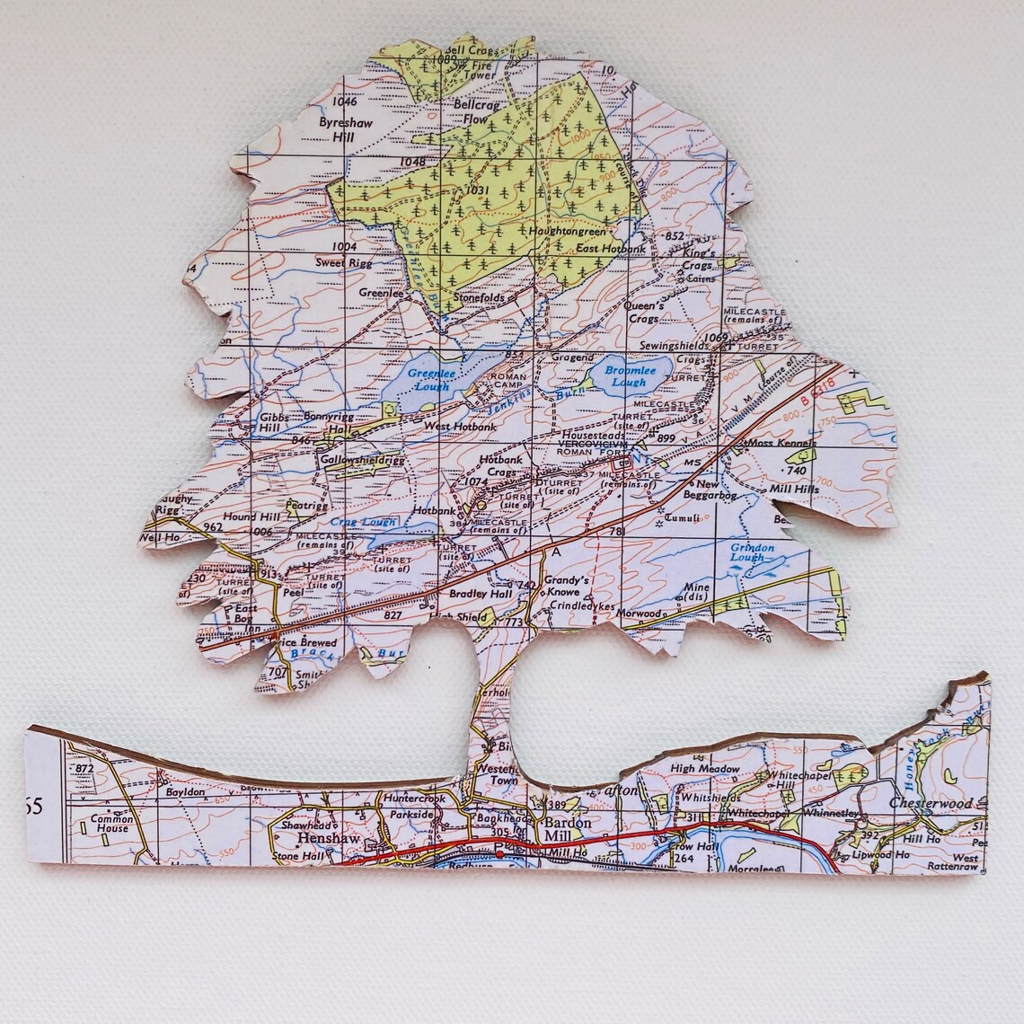 Sycamore Gap Tree Map Gift. Northumberland Present Christmas - Etsy