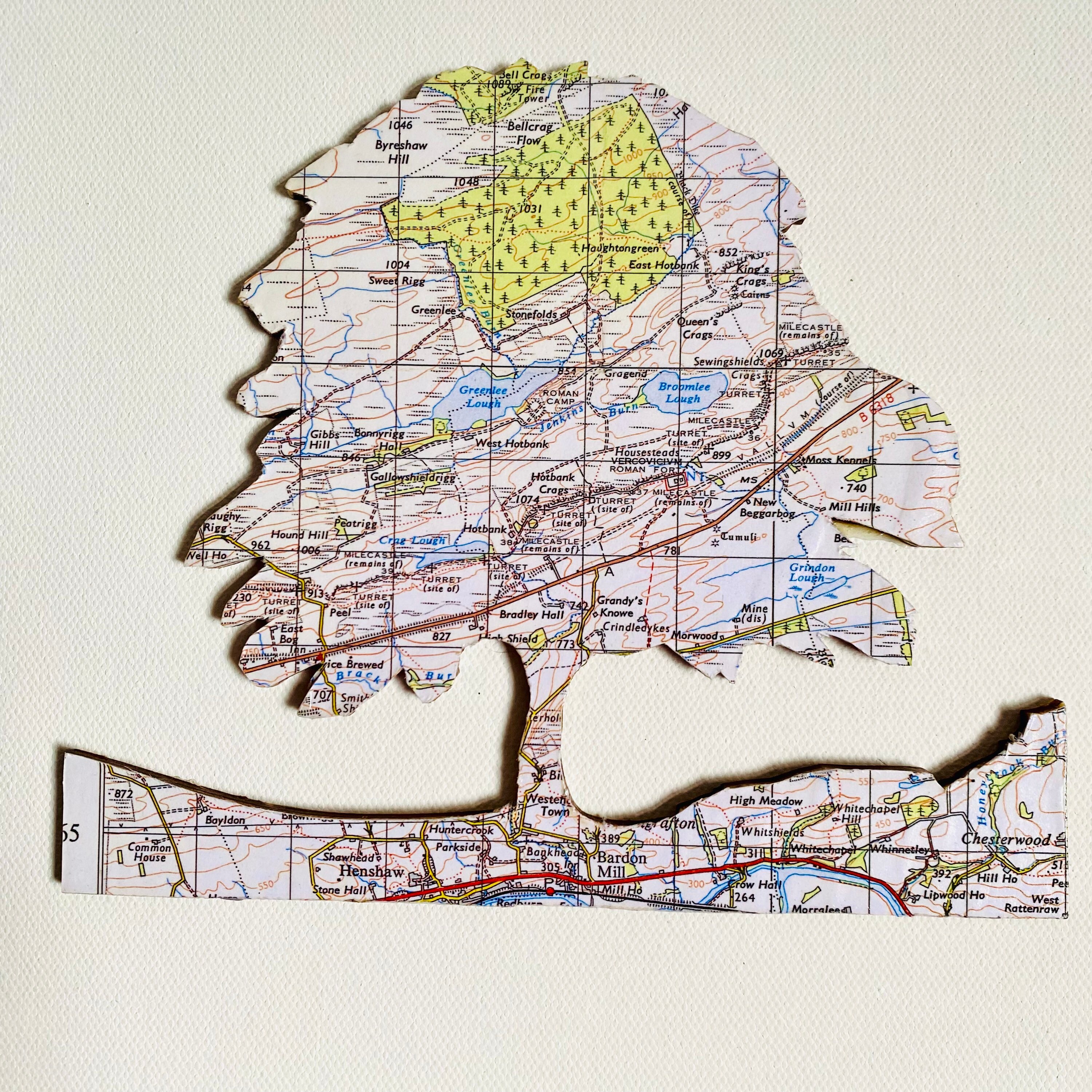 Sycamore Gap Tree Map Gift. Northumberland Present Christmas - Etsy