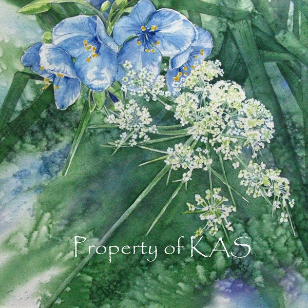 Spiderwort - Etsy