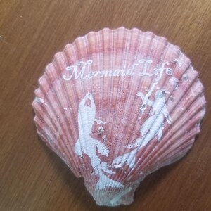 Engraved Shell - Etsy