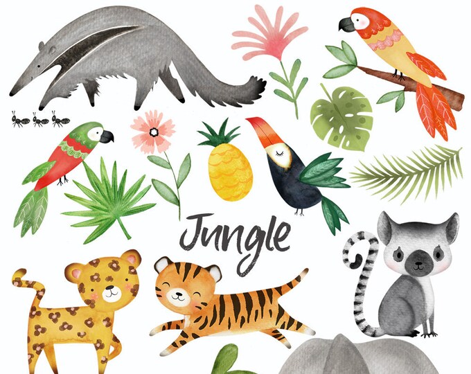 Watercolour Jungle Clipart, Jungle Animals, Hand Painted Jungle, Safari ...