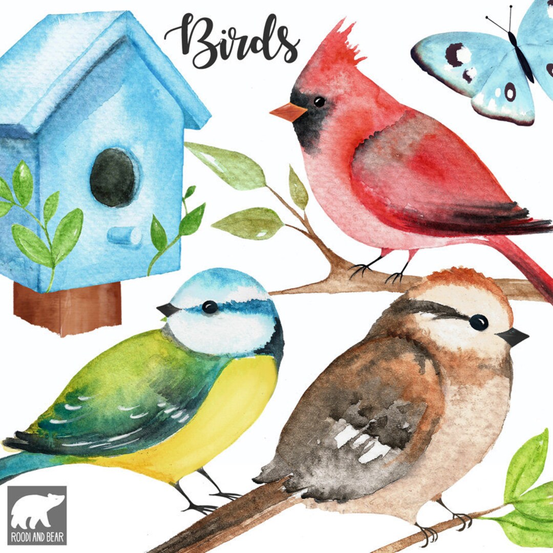 Watercolor Birds Clipart, Watercolour Bird Clipart, Watercolor Bird ...