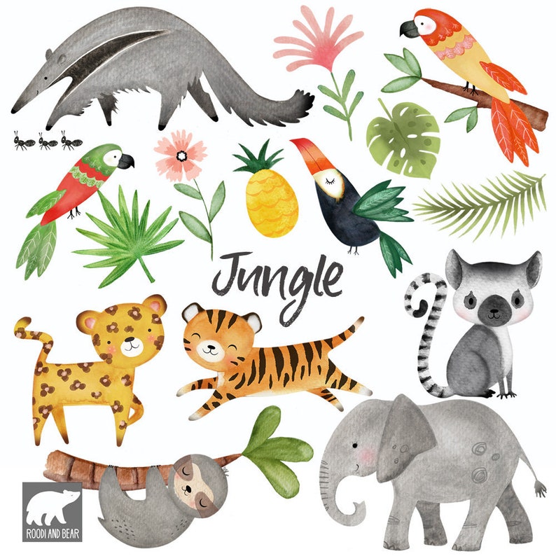 Watercolour Jungle Clipart, Jungle Animals, Hand Painted Jungle, Safari ...