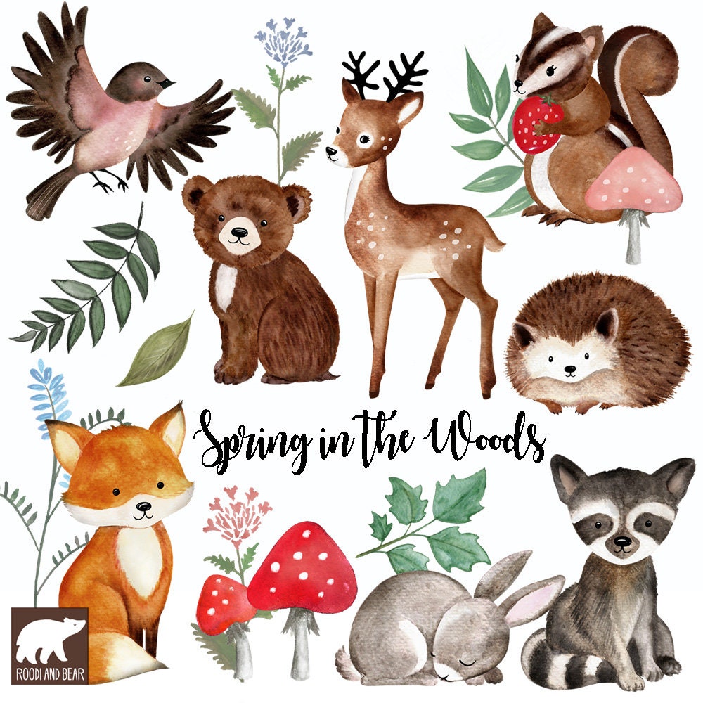 Watercolor Woodland Clipart, Watercolour Woodland Clip Art, Fox, Deer ...