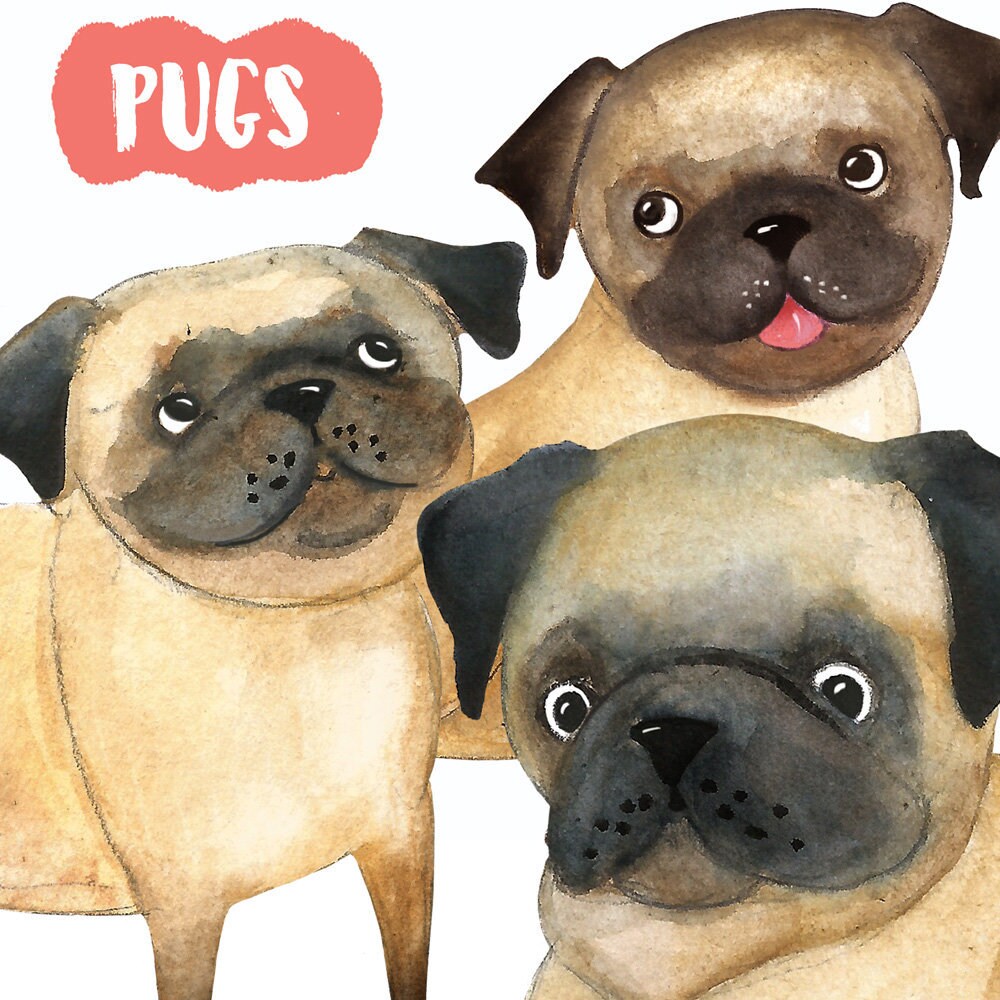 Watercolor Pug Clipart, Watercolour Pug Clipart, Hand Painted ...