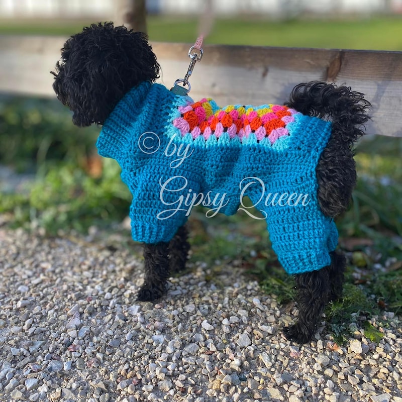 Dog Coats With Four Legs - Etsy