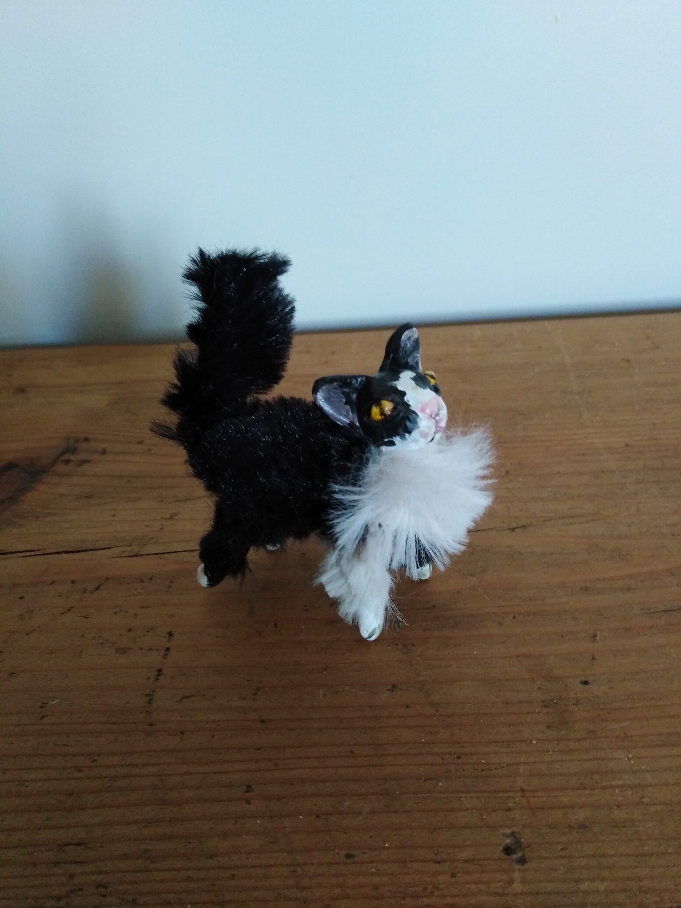 Tuxedo Cat Macchiato - Etsy