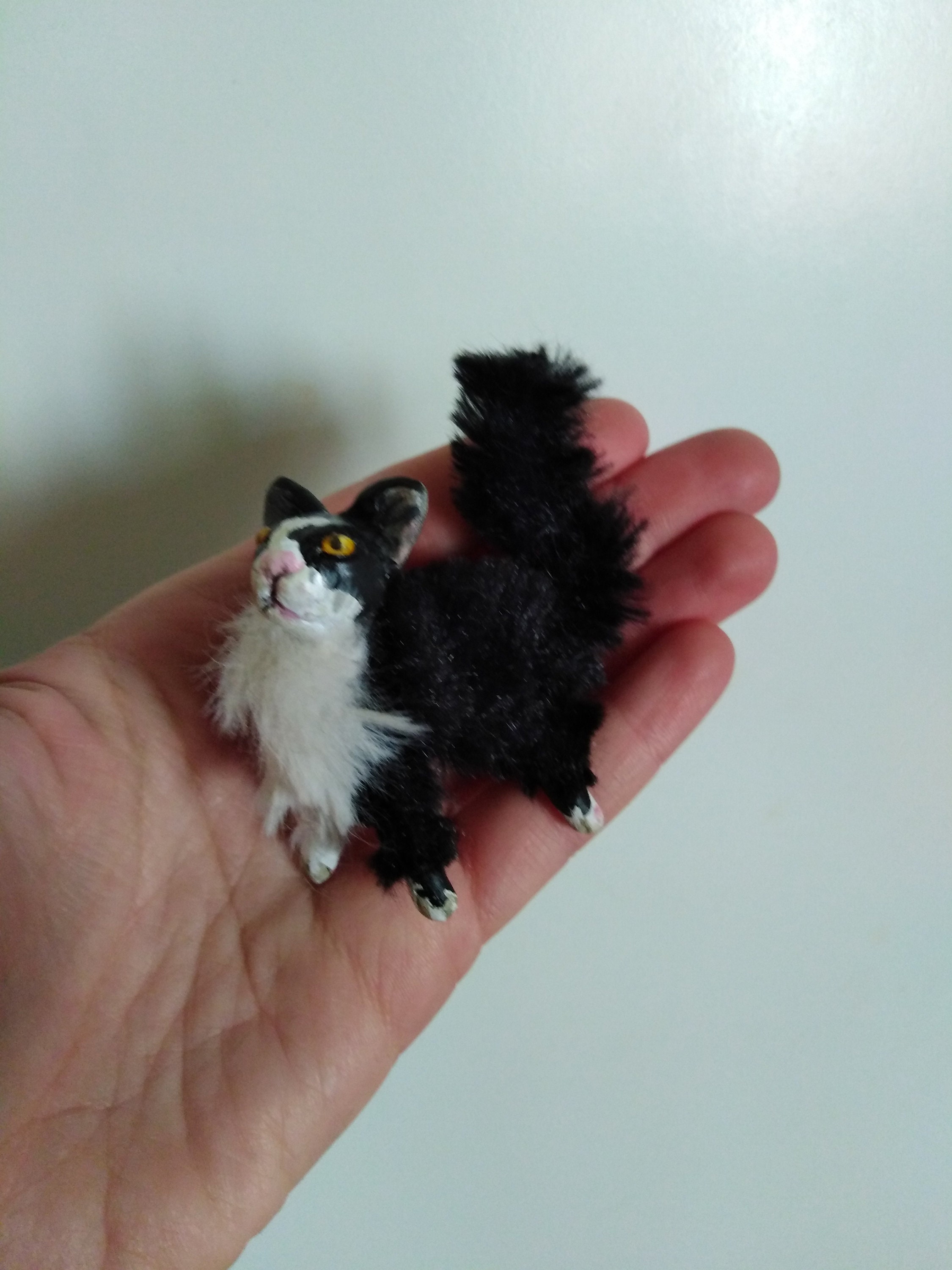 Tuxedo Cat Macchiato - Etsy
