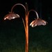Copper Flower Pathway Lights - Etsy