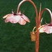 Copper Flower Pathway Lights - Etsy