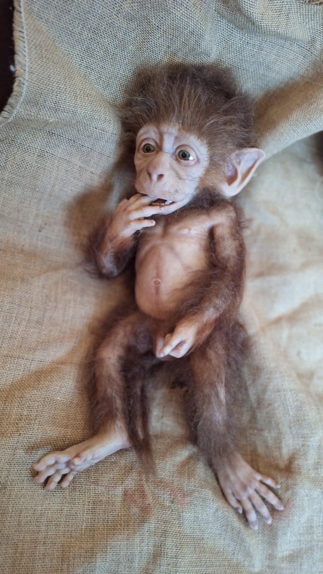 Realistic Platinum Silicone Baby Monkey - Handcrafted Limited Edition ...
