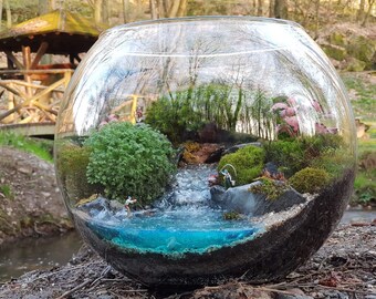 Terrarium | Etsy