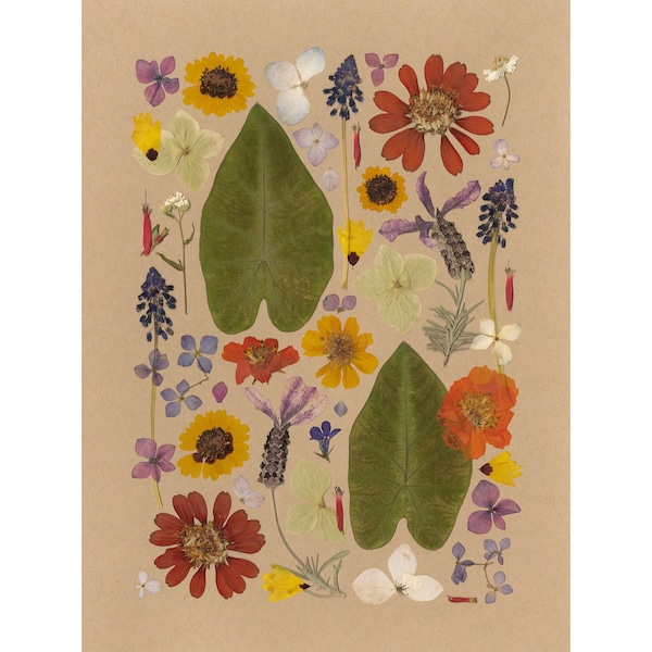 Pressed Tropical Flowers - Etsy
