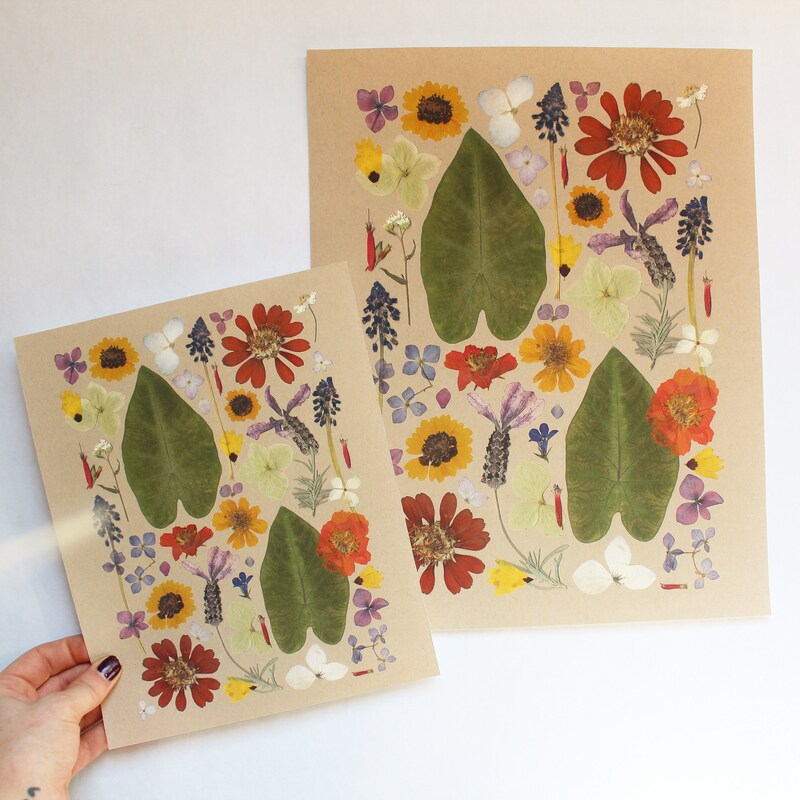 Pressed Tropical Flowers - Etsy