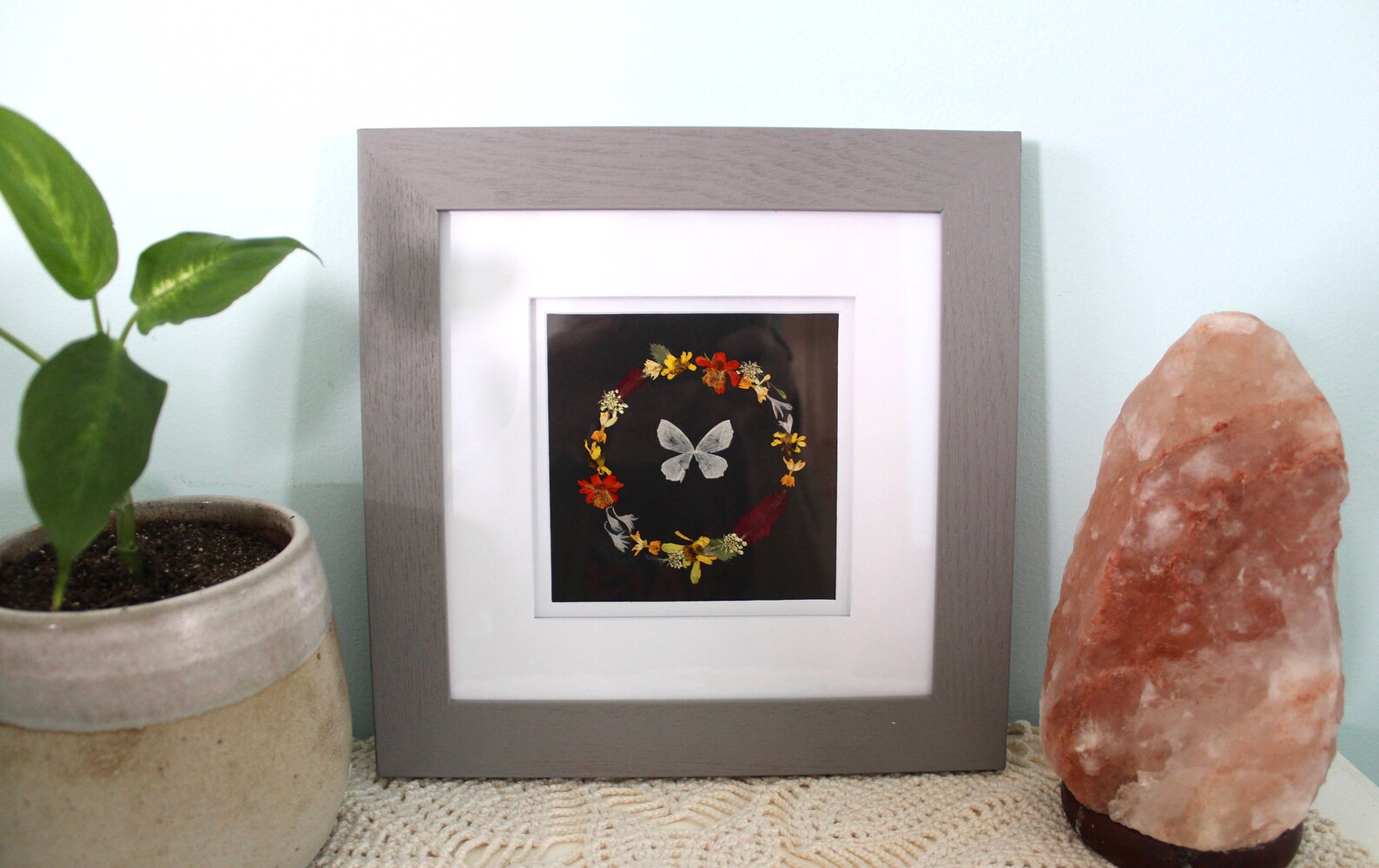 Pressed Flowers With Moth Wings Print Florals With Black Background Art ...