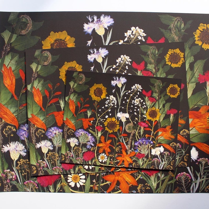 Pressed Tropical Flowers - Etsy