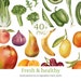 Fresh and Healthy Watercolor Clipart, Set of Hand Painted Vegetables ...