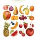 Fresh and Healthy Watercolor Clipart, Set of Hand Painted Vegetables ...