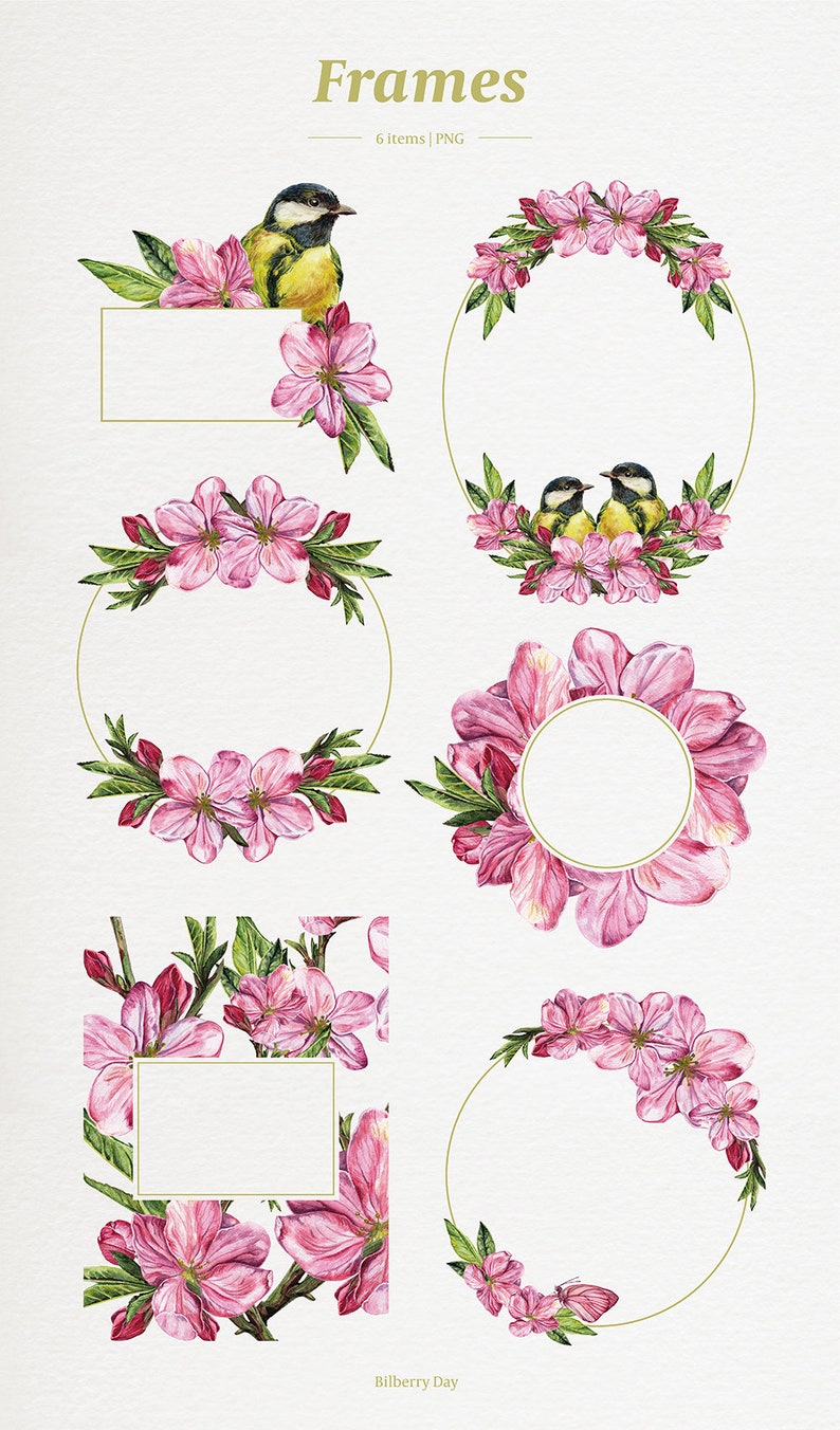 Spring Set of Cherry Blossom Flower Clipart With Bird, Hand Painted ...