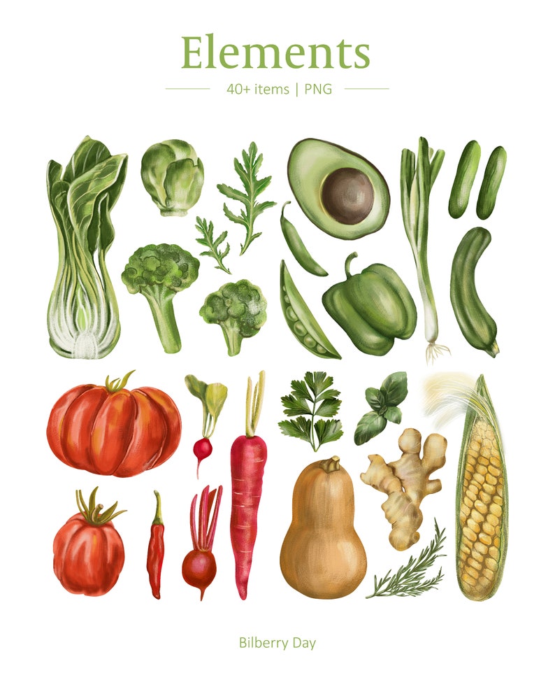 Fresh and Healthy Watercolor Clipart, Set of Hand Painted Vegetables ...