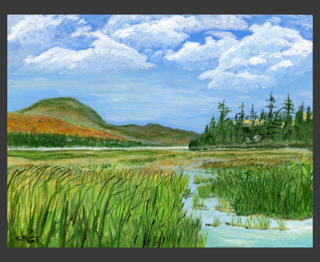 Adirondacks - Into the Reeds - Cedar River Flow - Etsy