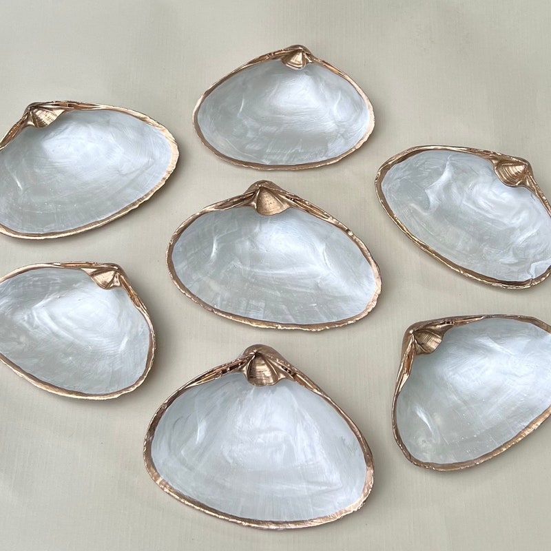 Clam Shell Dish - Etsy
