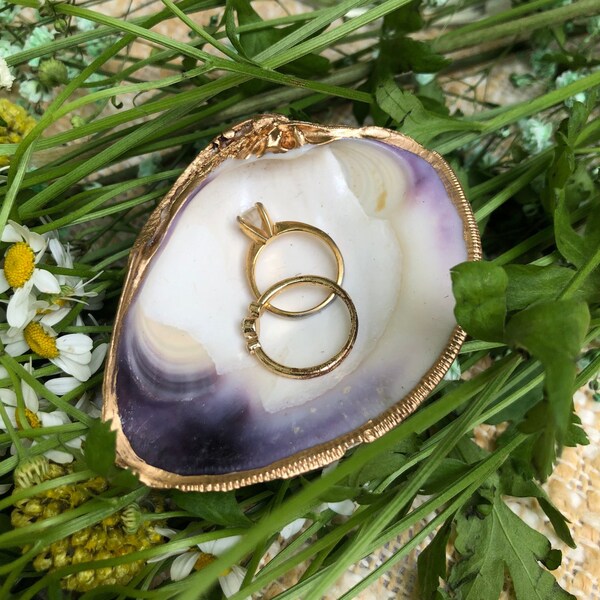 Clam Shell Prop - Etsy