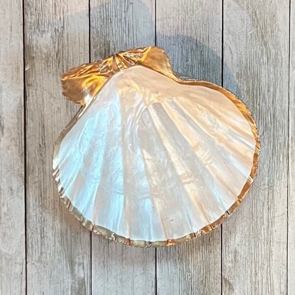Shell Jewelry Holder - Etsy