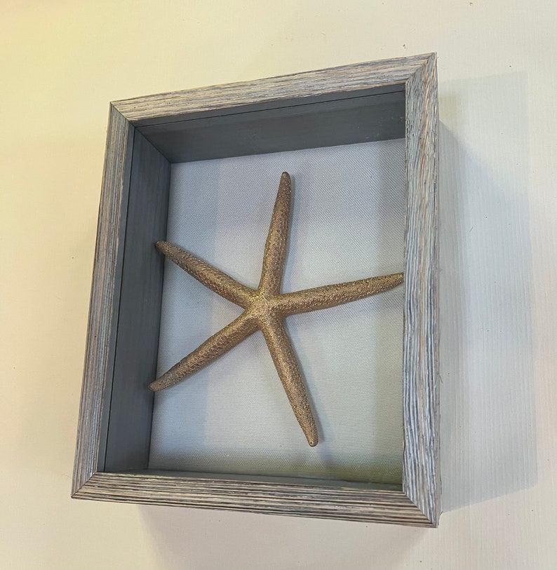 Scallop Shell in Shadow Box Wall Art Coastal Artwork Beach - Etsy