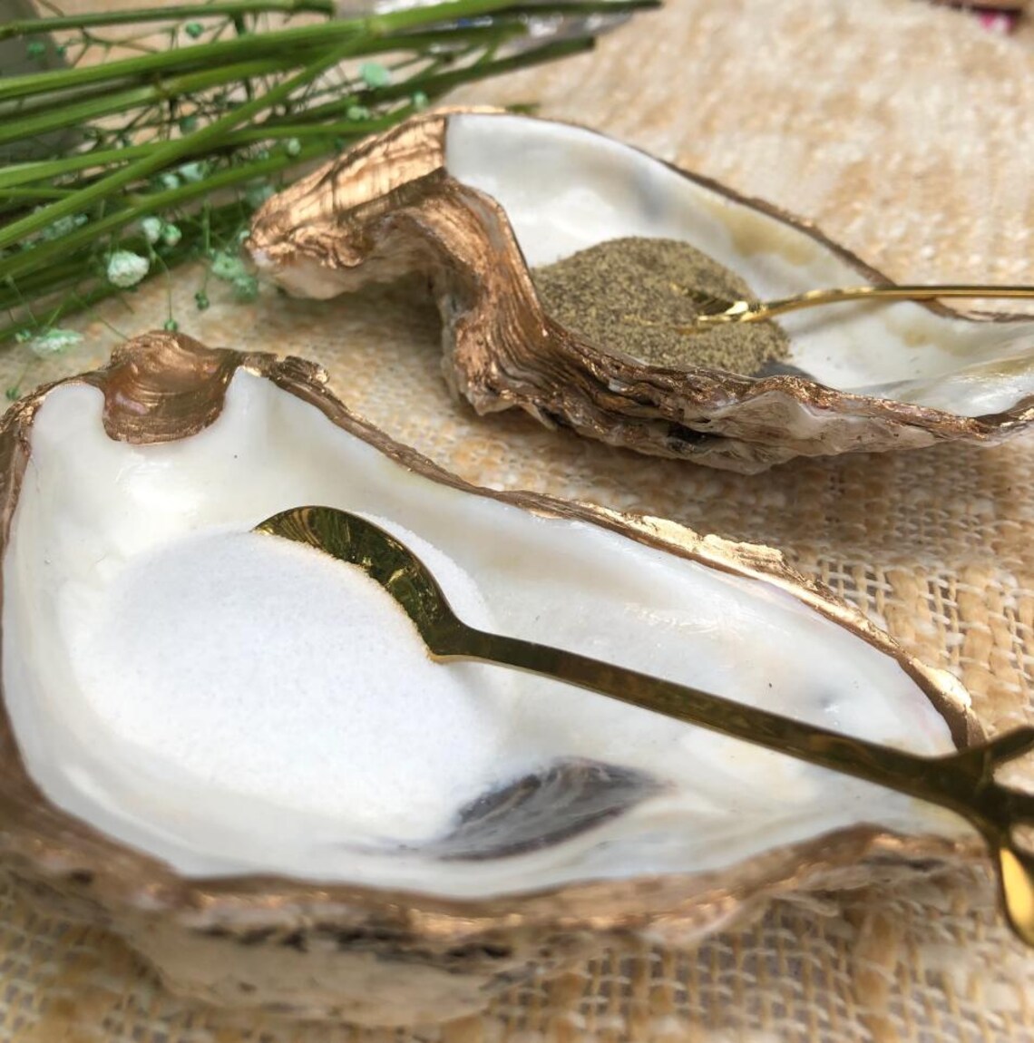 Oyster Shell Salt & Pepper Dishes With Mini Glass Jars, Salt and Pepper ...