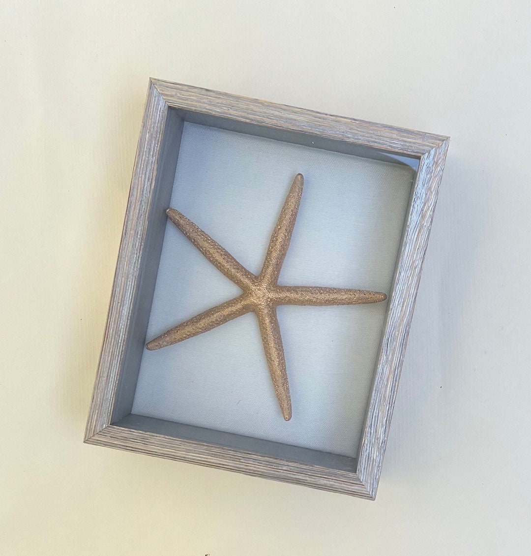 Scallop Shell in Shadow Box Wall Art, Coastal Artwork, Beach House ...