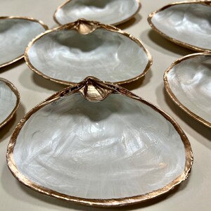 Ring Dish, Shell Ring Dish, Bridal Shower Favors, Trinket Dish, Beach ...