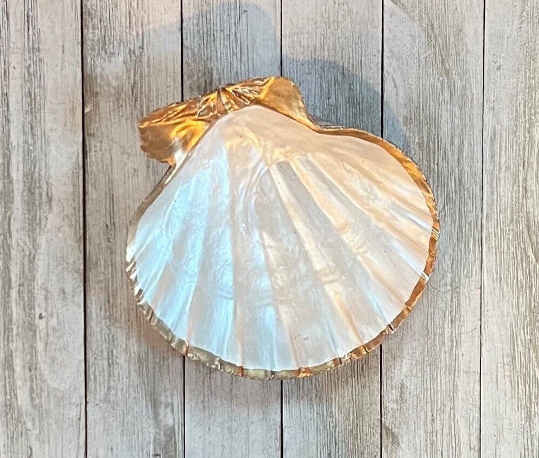 Scallop Shell Ring Dish, Jewelry Tray, Beach Themed Gift, Seashell Ring ...
