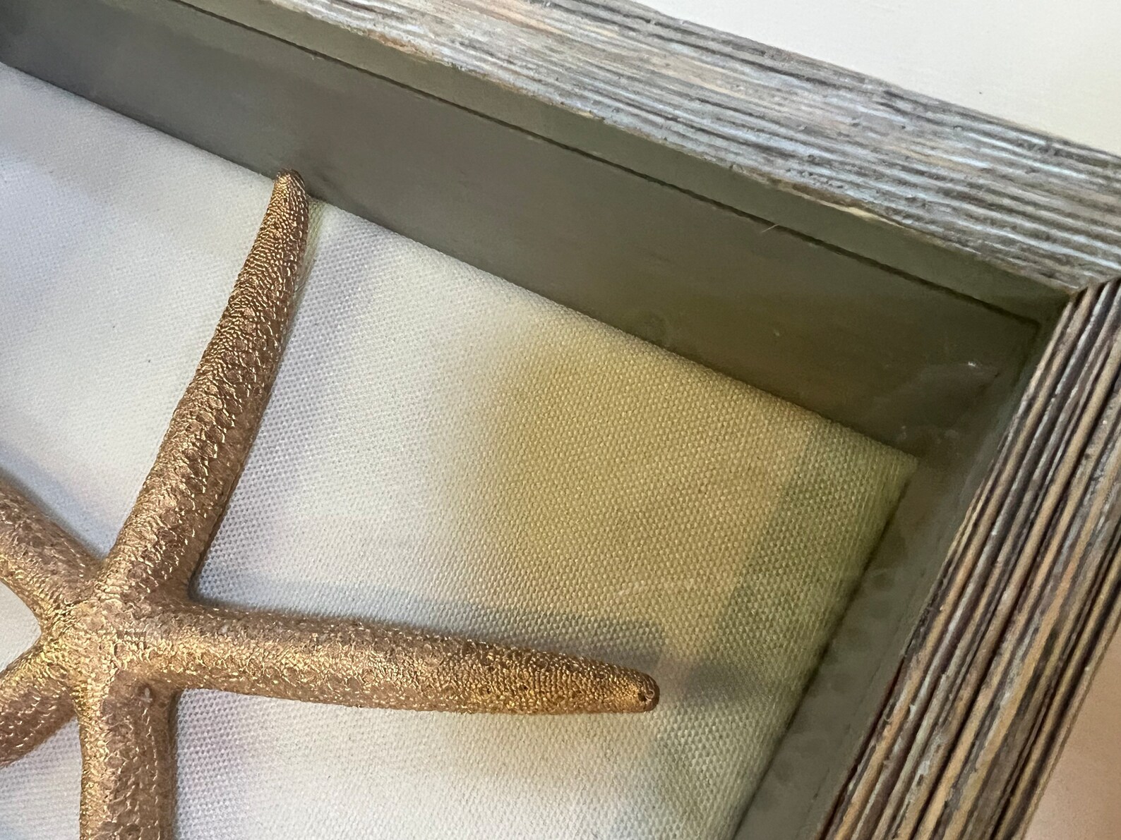 Scallop Shell in Shadow Box Wall Art Coastal Artwork Beach - Etsy