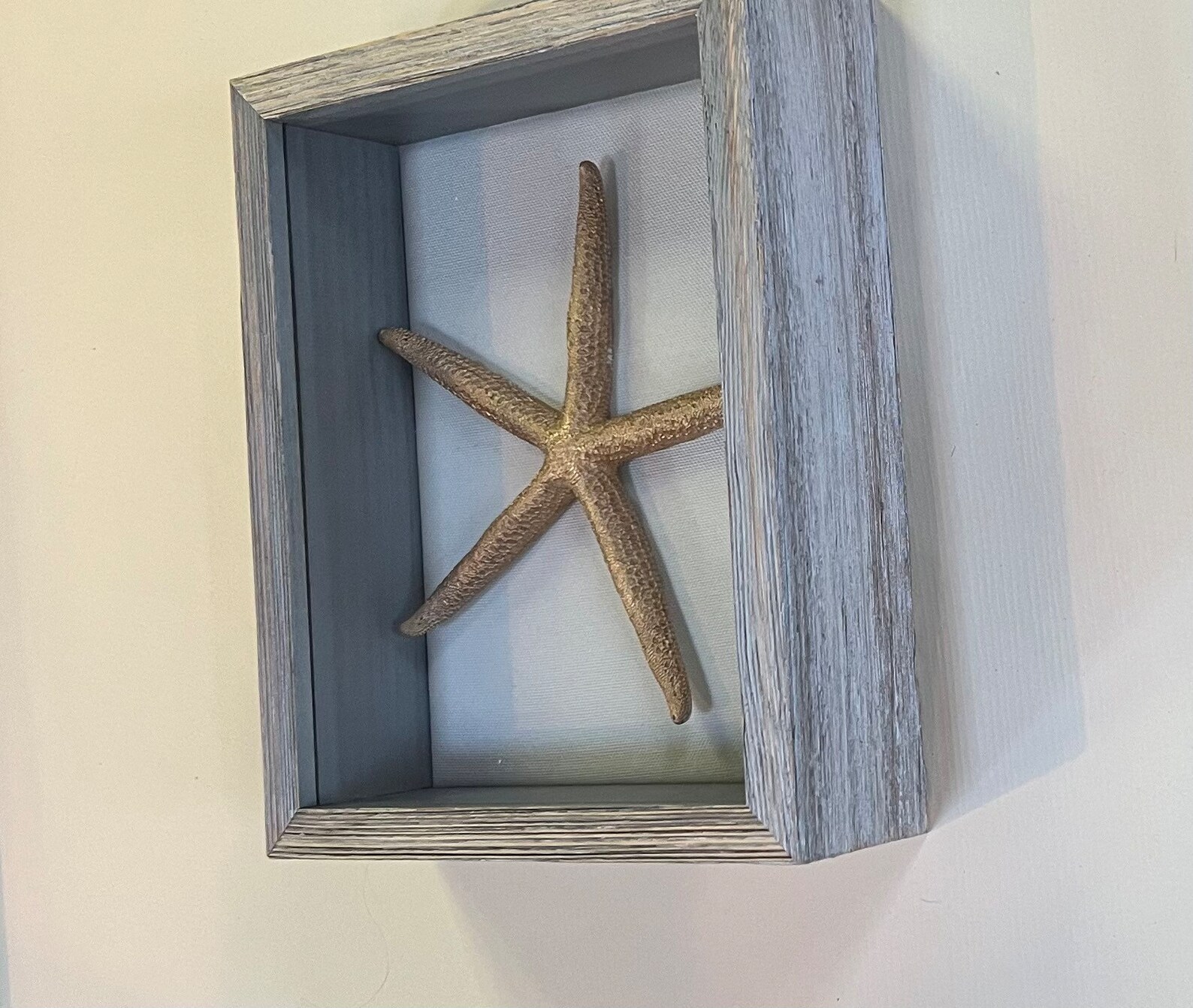 Scallop Shell in Shadow Box Wall Art Coastal Artwork Beach - Etsy