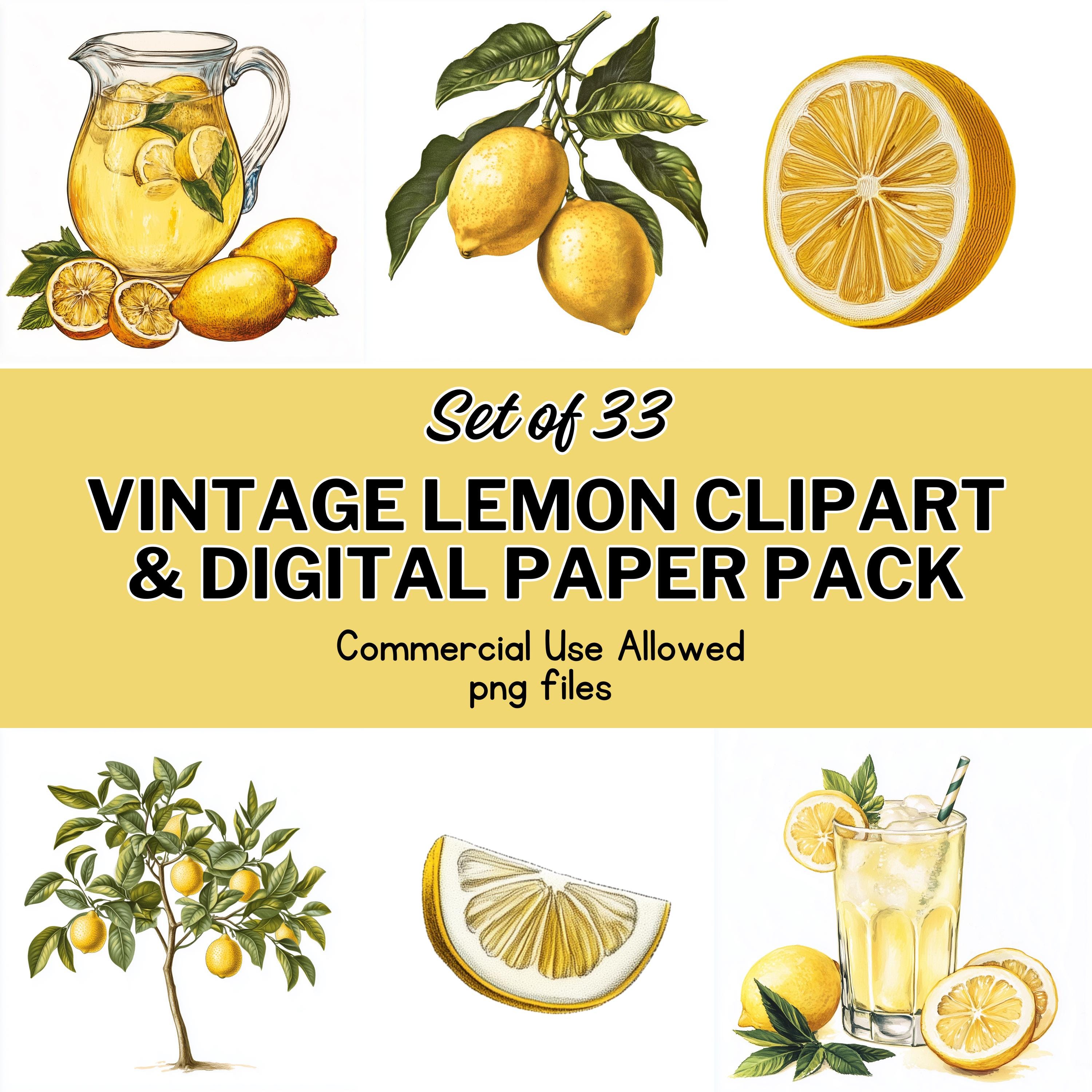 Vintage Lemon Clipart & Digital Paper Pack: Summer Fruit Graphics - Etsy