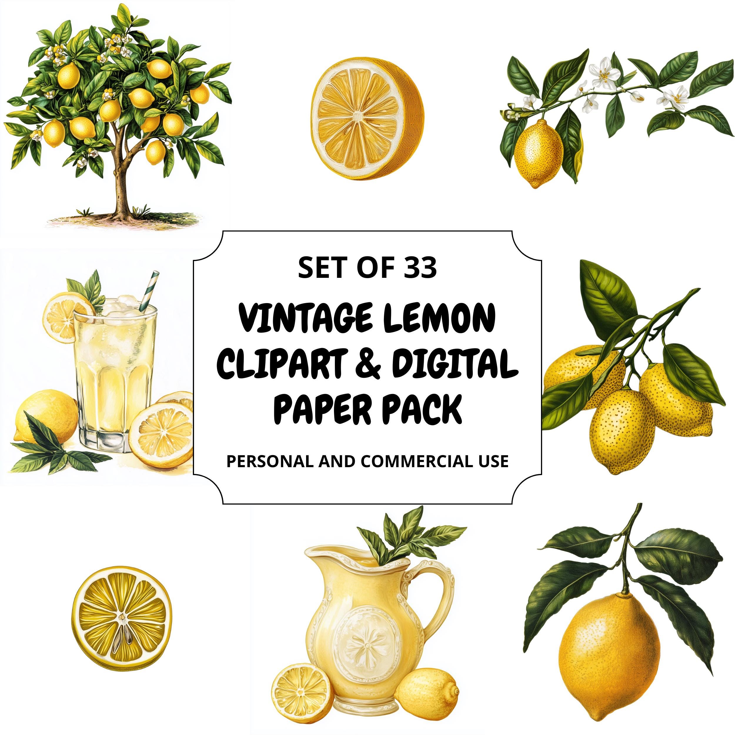 Vintage Lemon Clipart & Digital Paper Pack: Summer Fruit Graphics - Etsy