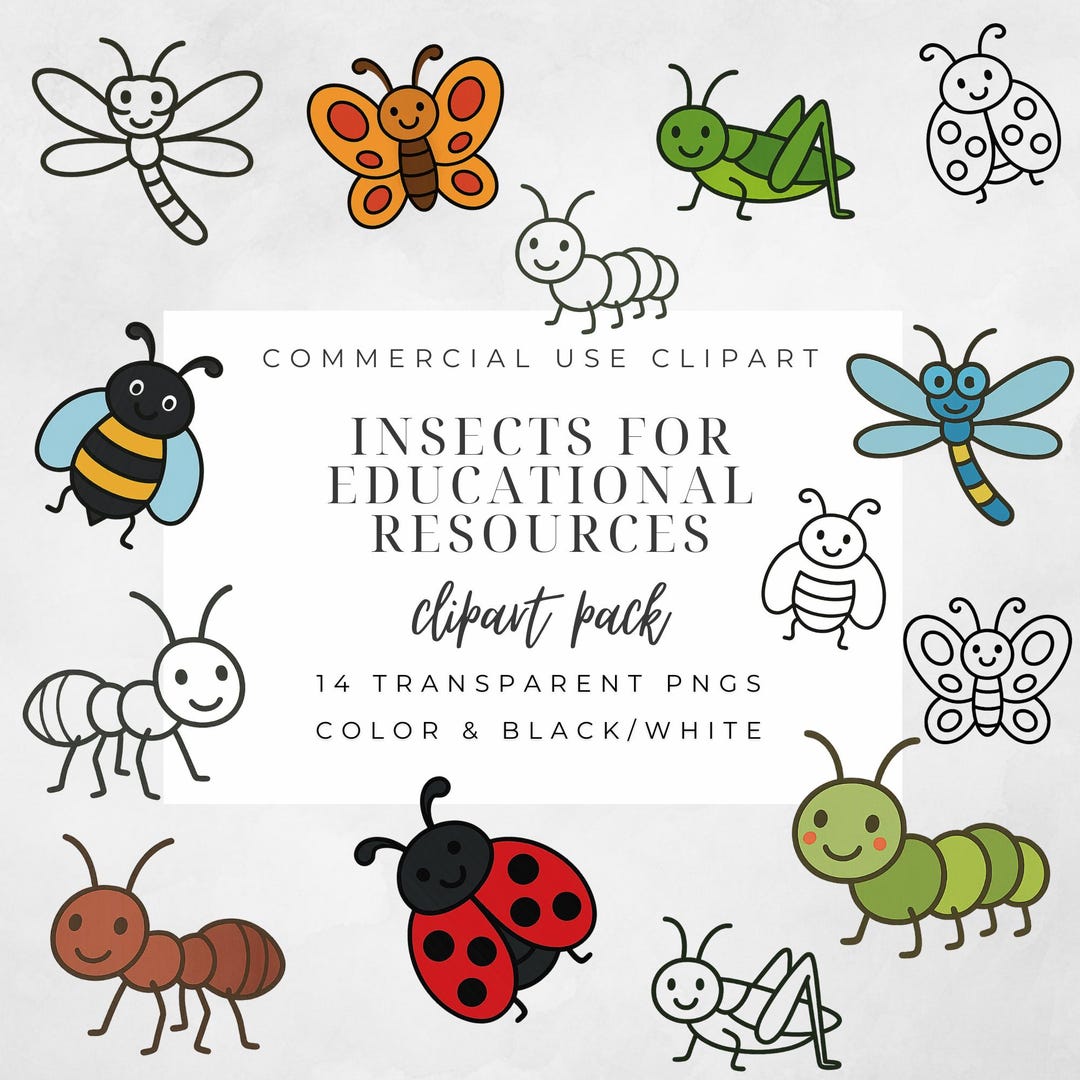 Insect Clipart | Ants, Bees, Butterflies Pngs | Teacher Resources ...