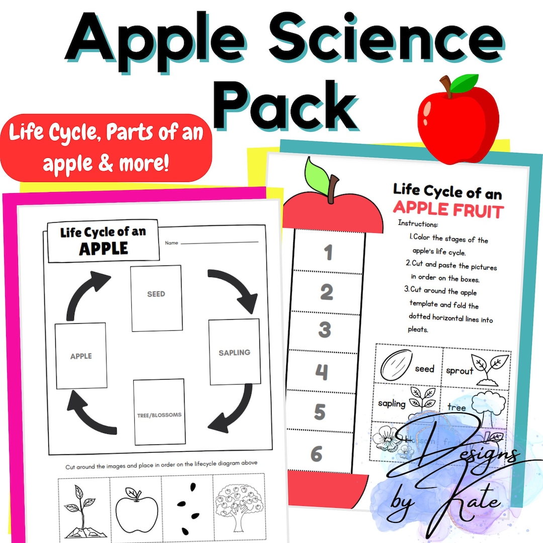 Apple Life Cycle Science Pack: Elementary Homeschool Worksheets ...