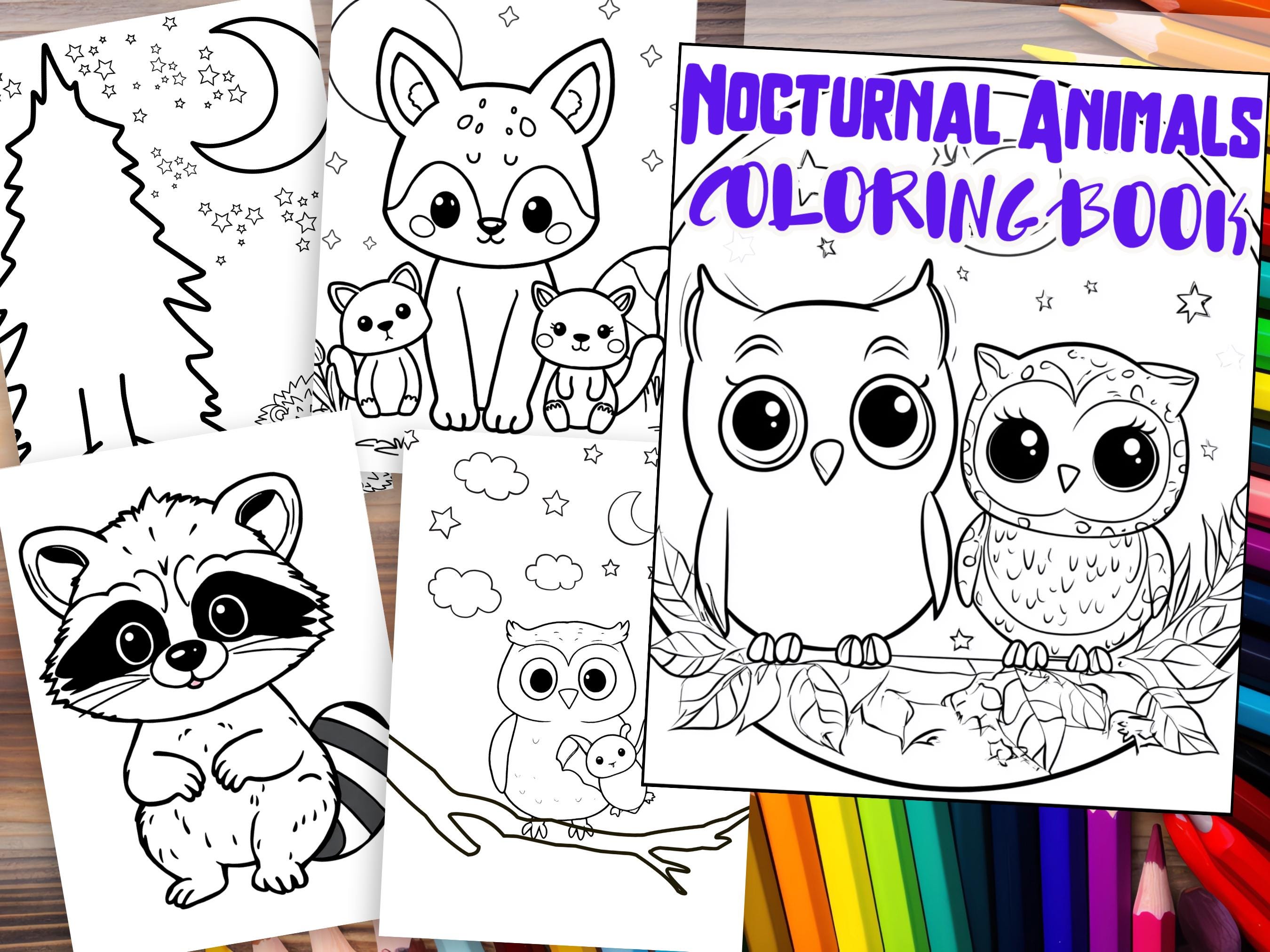 Nocturnal Animals Coloring Book | Kids' Activity, 25 Pages (PDF ...