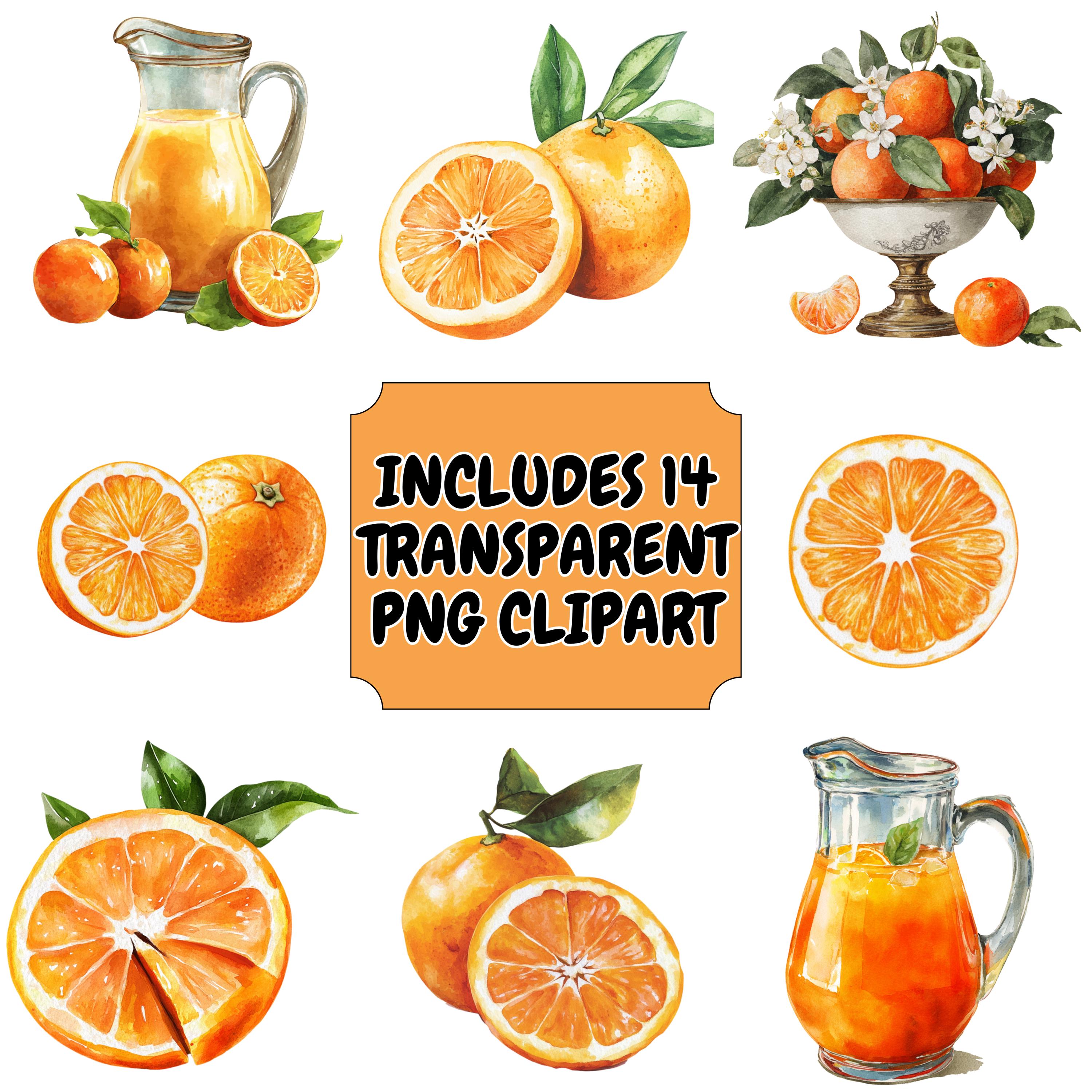 Watercolor Oranges Clipart & Digital Paper Pack | 14 PNG Clipart + 14 ...