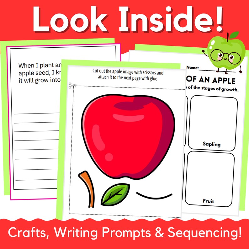 Apple Life Cycle Science Pack: Elementary Homeschool Worksheets ...