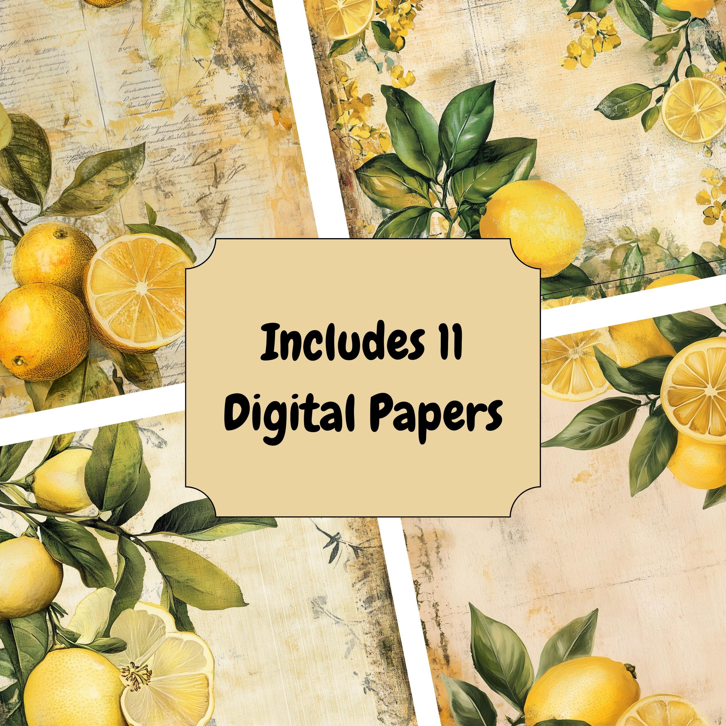 Vintage Lemon Clipart & Digital Paper Pack: Summer Fruit Graphics - Etsy