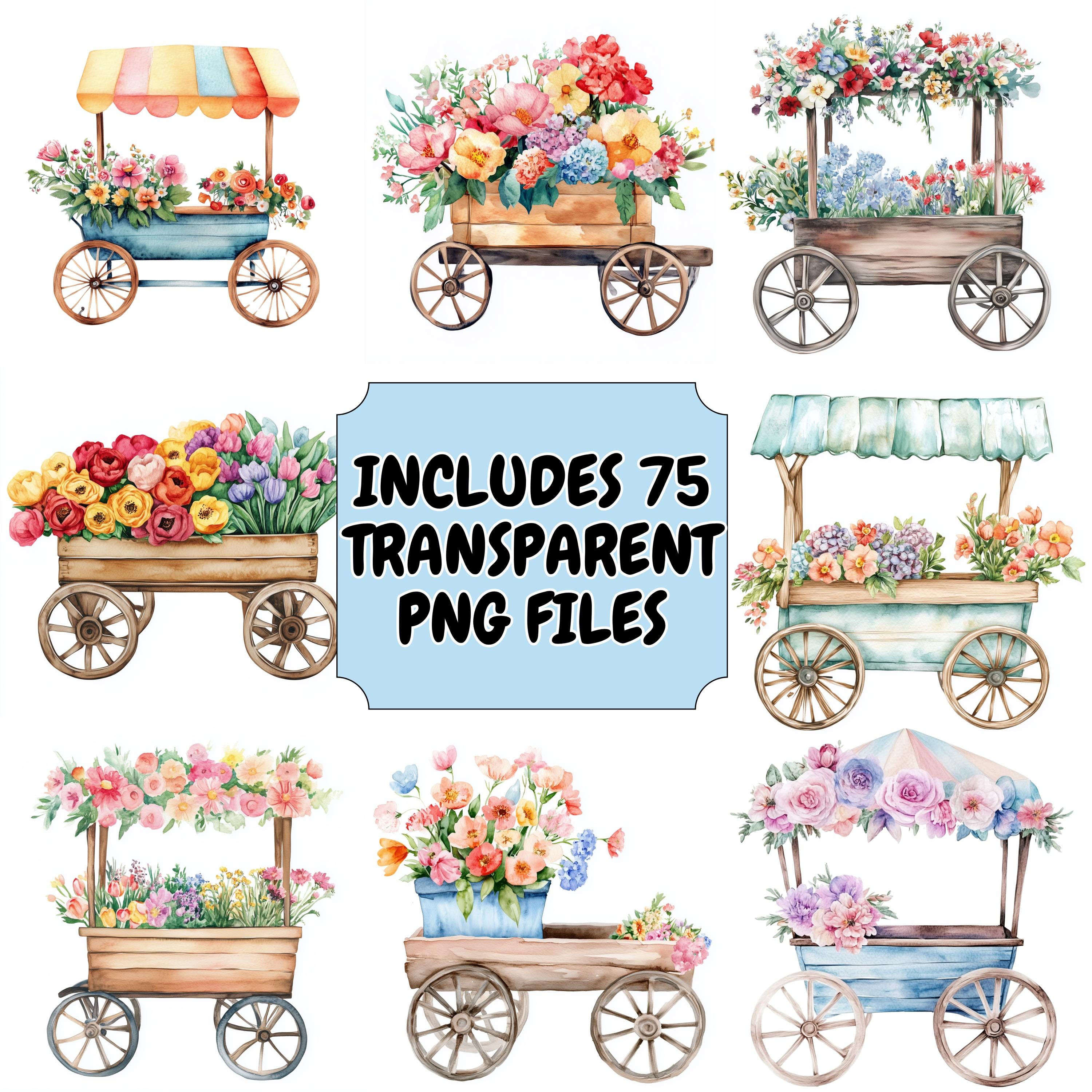 Watercolor Flower Cart Clipart Bundle: 75 PNG Illustrations (commercial ...