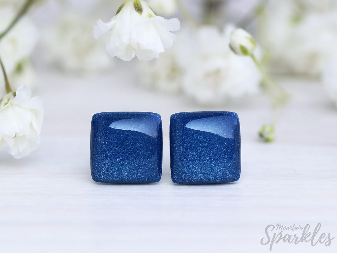 Navy Blue Stud Earrings, Men Stud Earrings, Titanium Earrings, Dark ...