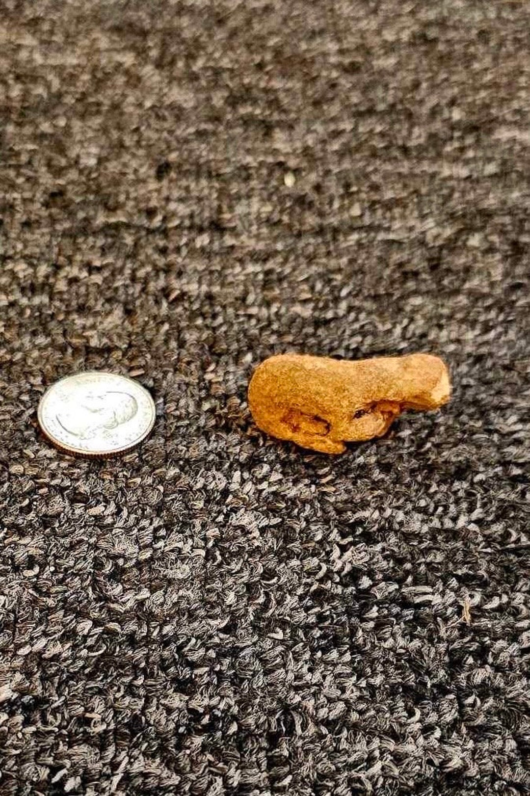 Paleo Bear Fishing, Bald Eagle, Elephant, Smiling Face and More Effigy ...