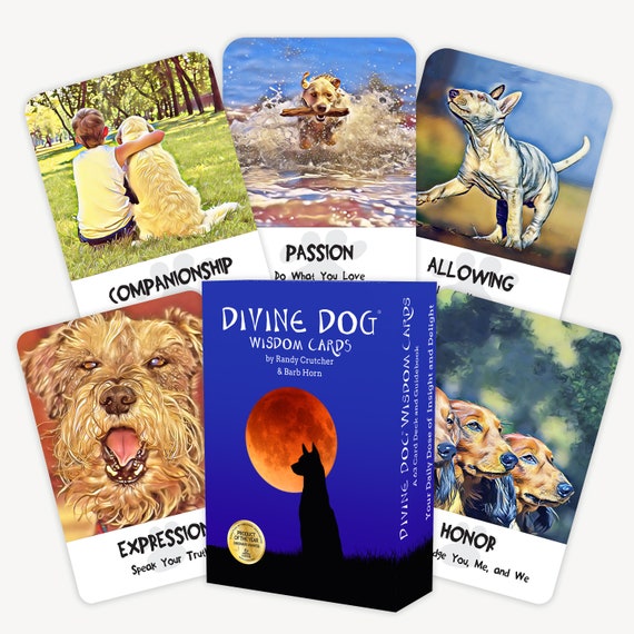 Divine Dog Wisdom Cards Oracle Deck NEW COVER | Etsy