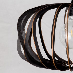 Decorative Abstract Ceiling Light / Lamp Shade / Wooden Light / Light ...