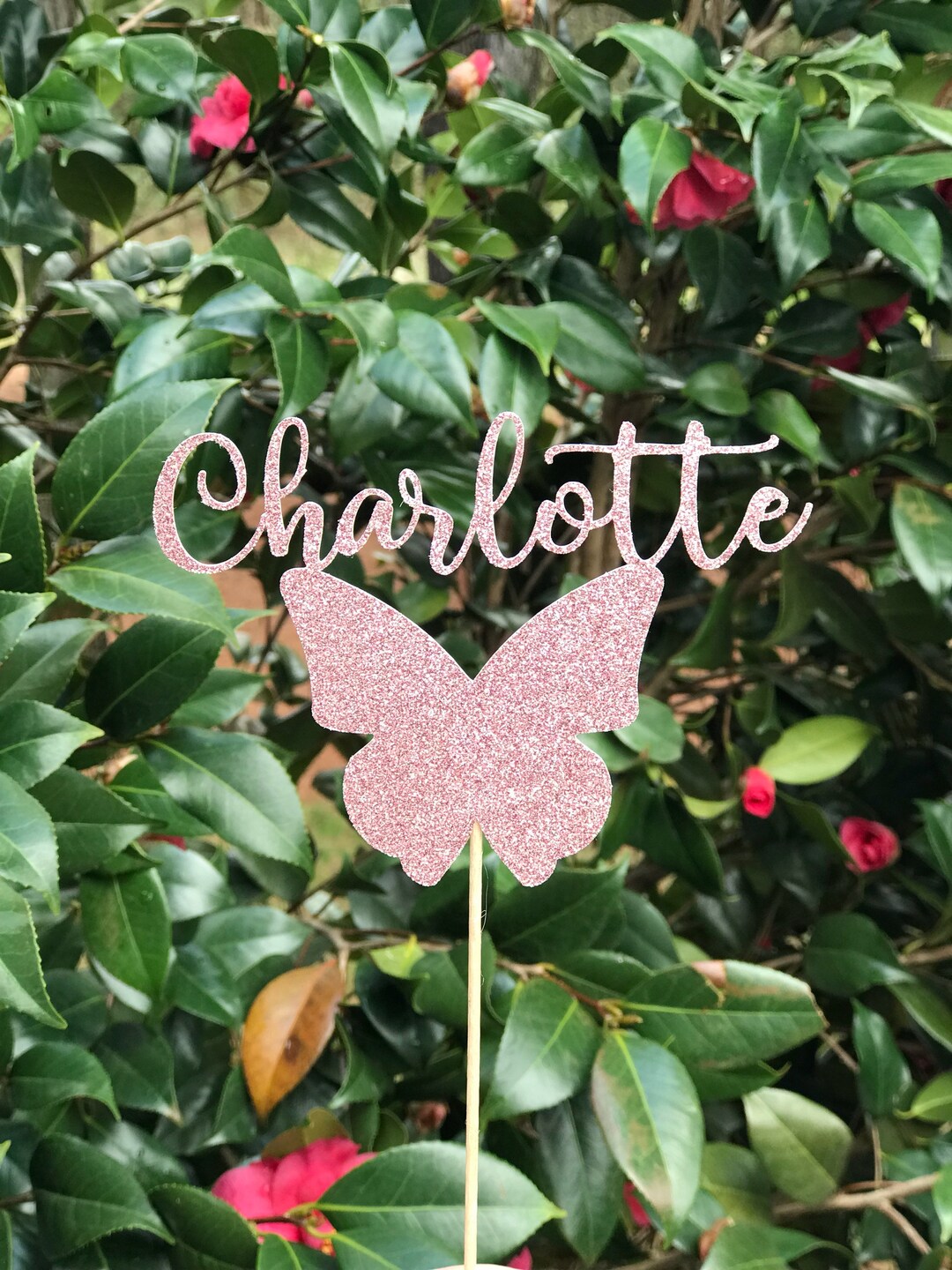 Personalized Butterfly Cake Topper - Etsy